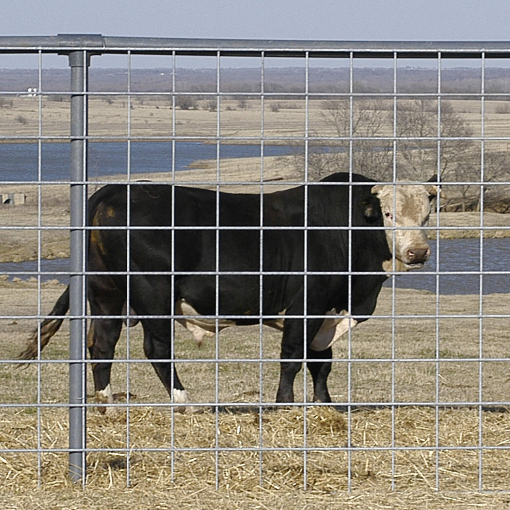 Wire Bull Panel – hutchison-inc.com